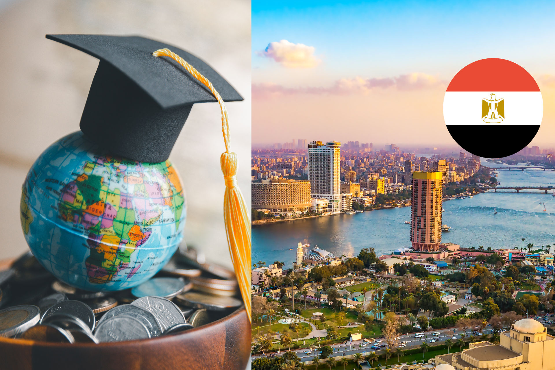 Study Guru - International Education